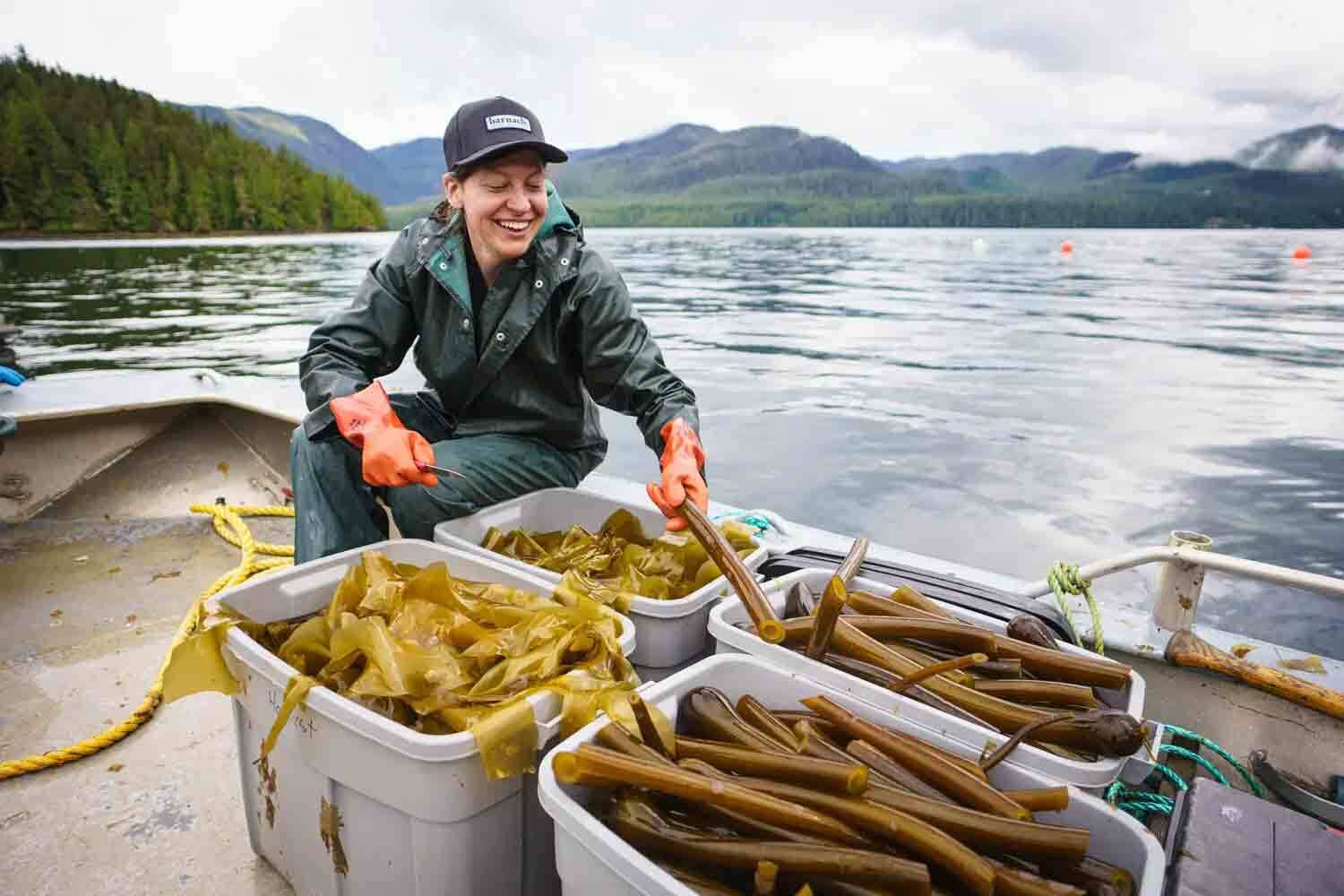 Barnacle Knows a Thing or Two About Kelp – Caputo's Market & Deli