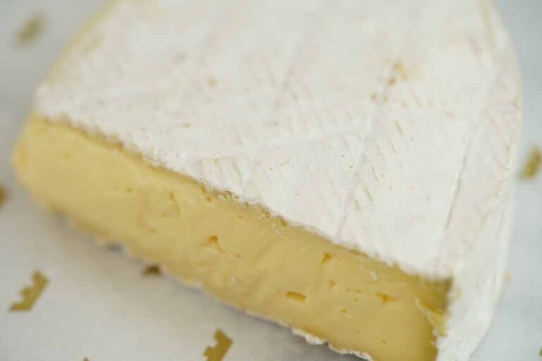 Brie Fermier – Ferme de la Tremblaye – Caputo's Market & Deli