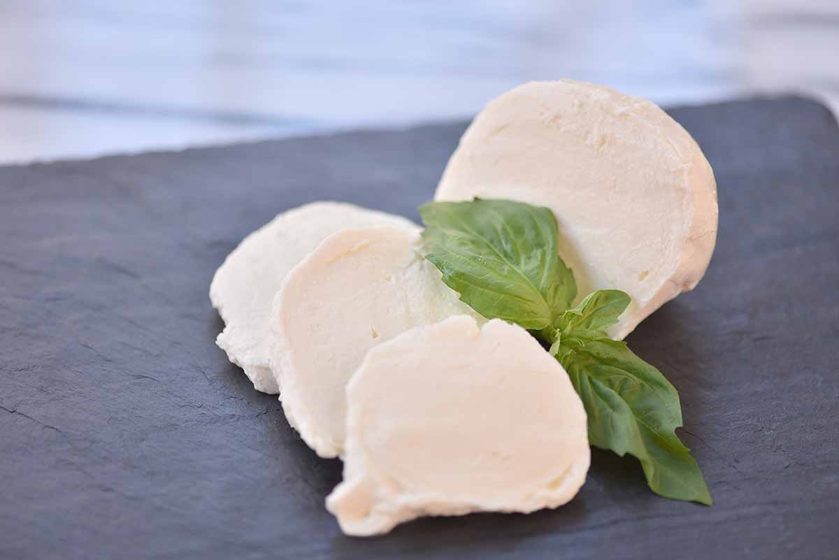 Caputo’s Housemade Mozzarella – 8 oz. – Caputo's Market & Deli