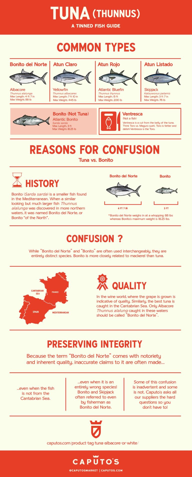 Tuna Types – A Tinned Fish Guide by Caputo’s - Caputo's Market & Deli