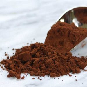 Valrhona Bulk Cocoa Powder 1LB Bag – Caputo's Market & Deli
