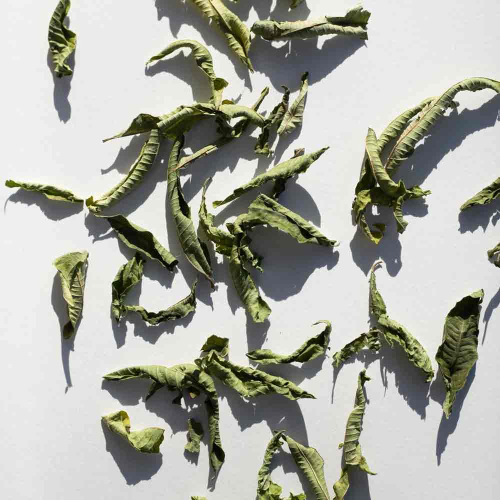 Daphnis and Chloe Our Lemon Verbena Herbal Tea, 10g – Caputo's Market ...