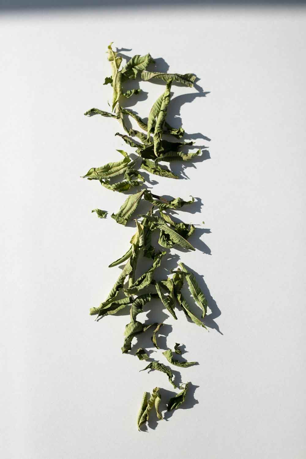 Daphnis and Chloe Our Lemon Verbena Herbal Tea, 10g – Caputo's Market ...