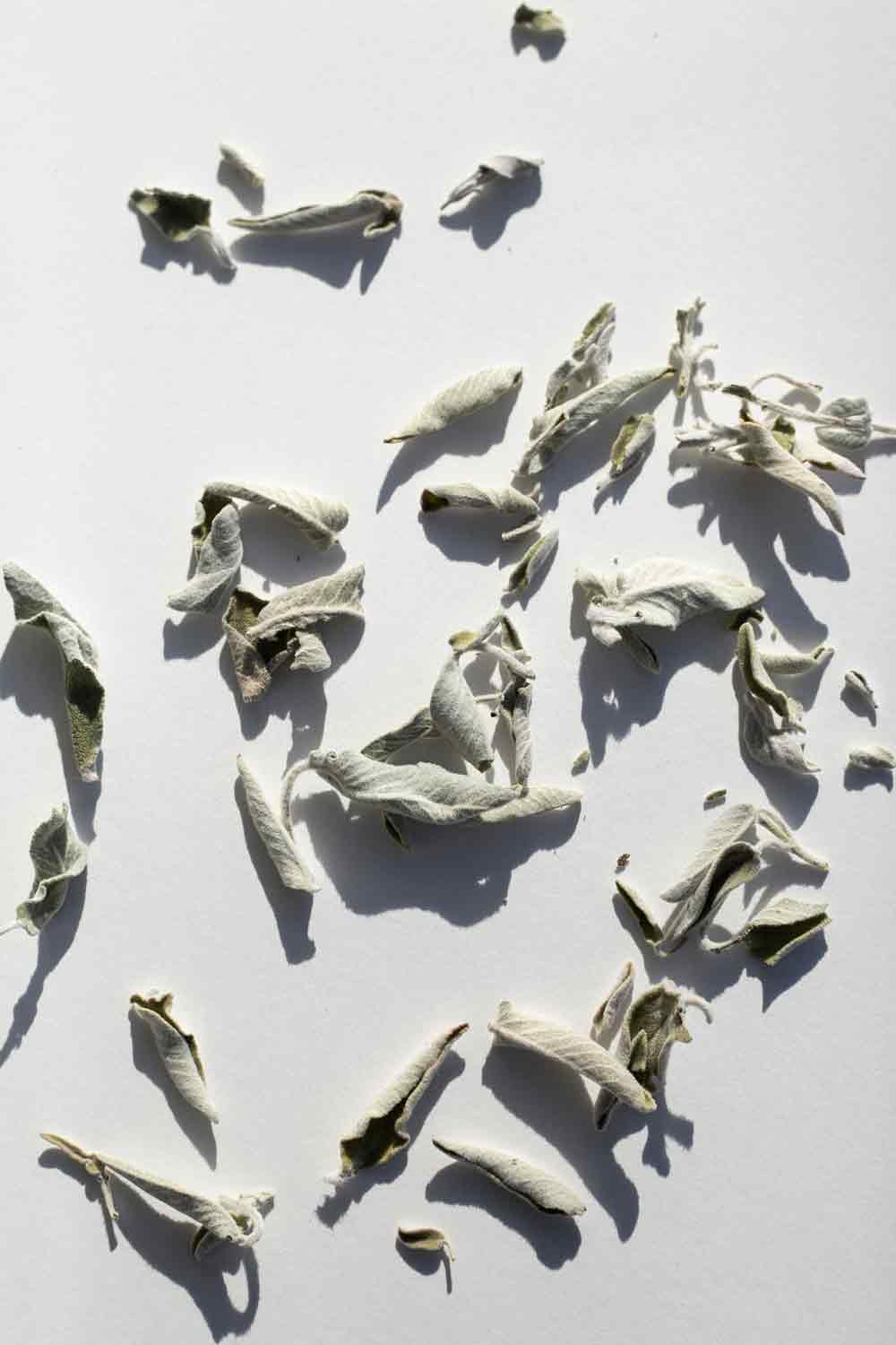 Daphnis and Chloe Unique Greek Sage Glass Jar, 14g – Caputo's Market & Deli