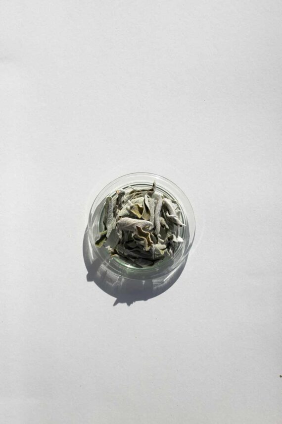 Daphnis and Chloe Unique Greek Sage Glass Jar, 14g – Caputo's Market & Deli