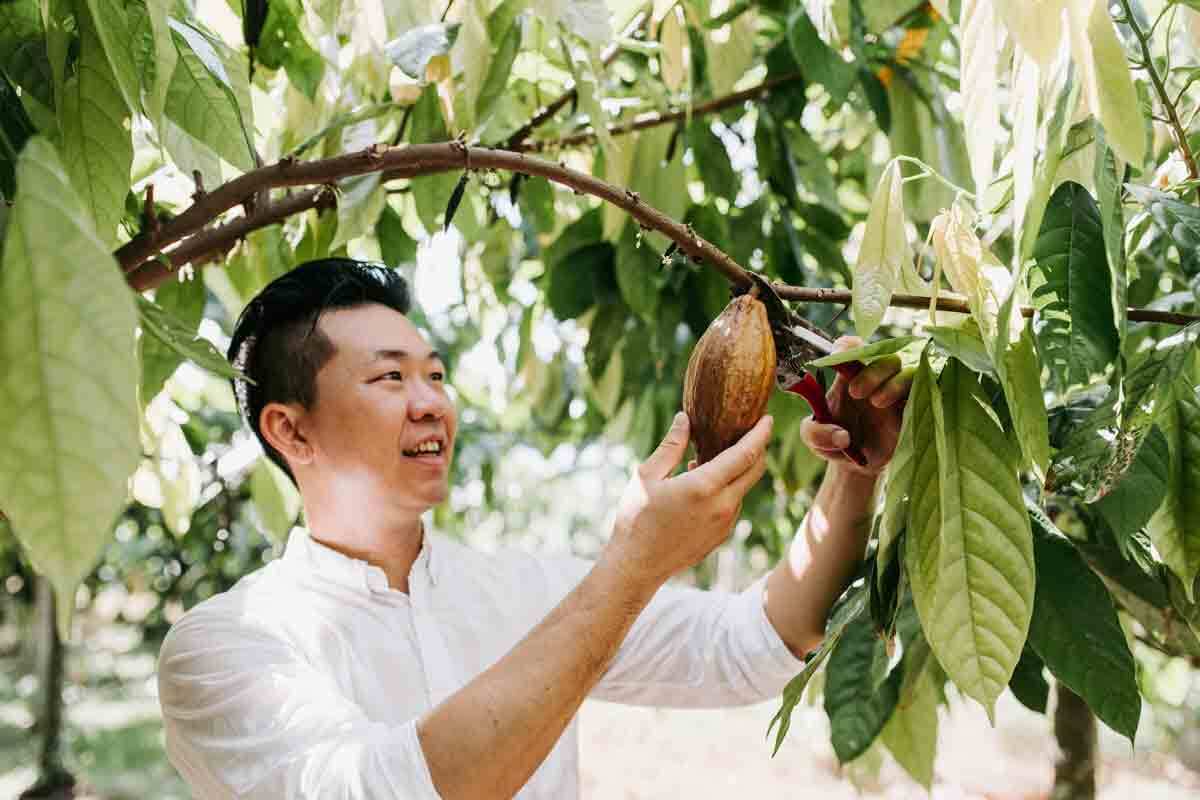 Tasting Taiwan with Fu Wan Chocolate – Caputo's Market & Deli