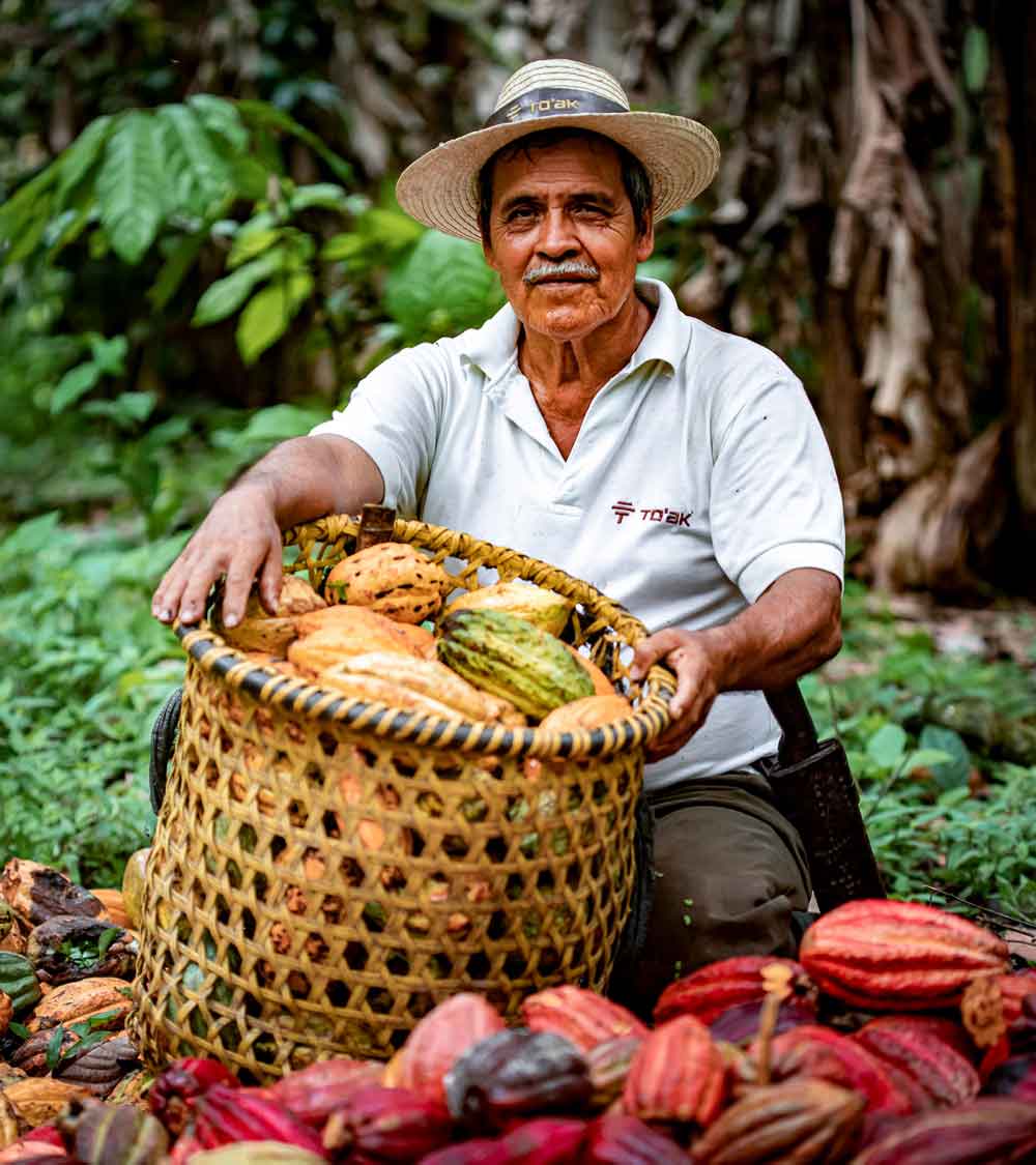 To’ak Alchemy Amazonian Ants – Caputo's Market & Deli